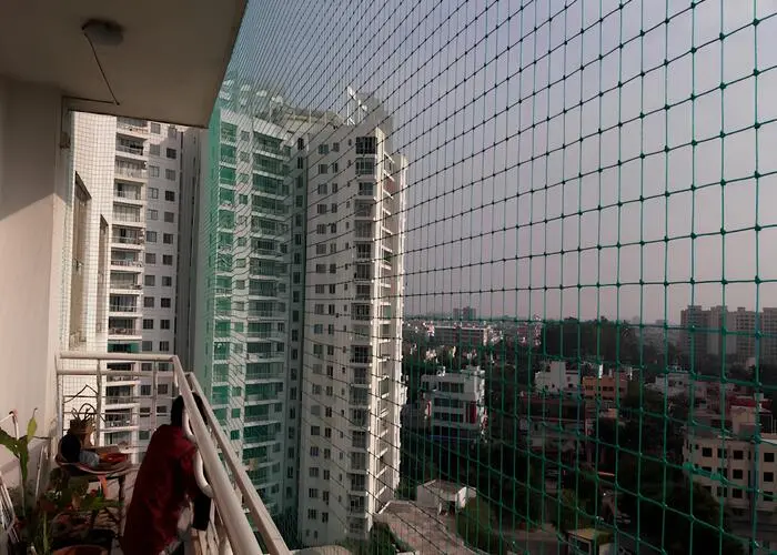 Pigeon Net for Balcony in Suryapet, Nalgonda at Best Prices